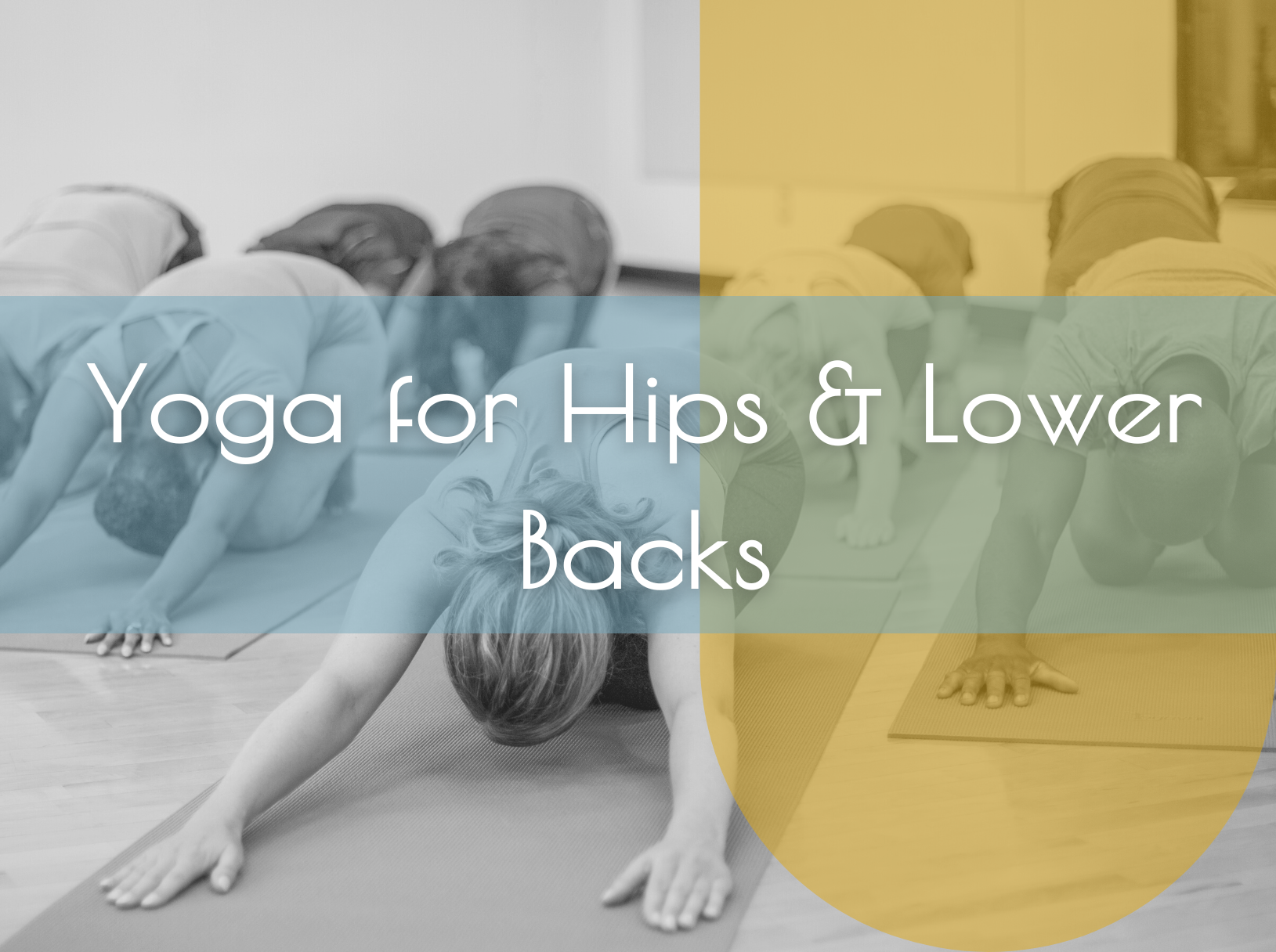 Workshops – Savvy Studios