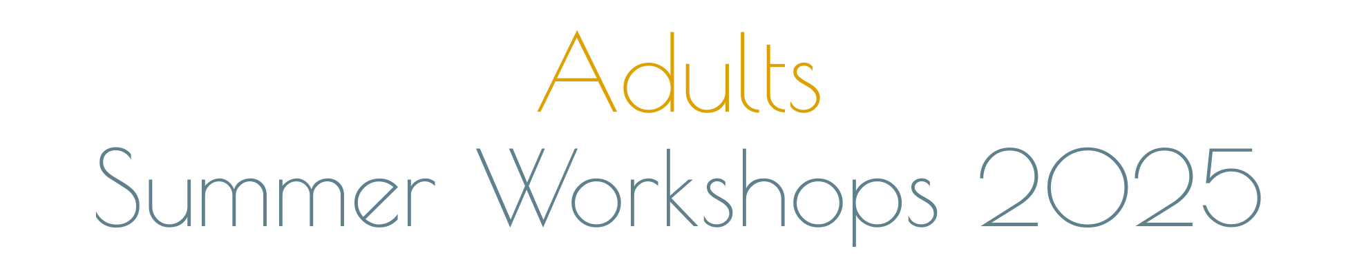 Workshops – Savvy Studios